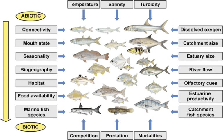Inter-relationship between fish and their abiotic and biotic ...